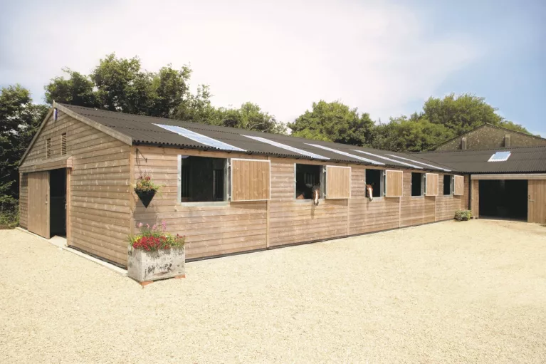 The impact of the right roofing solution on animal welfare